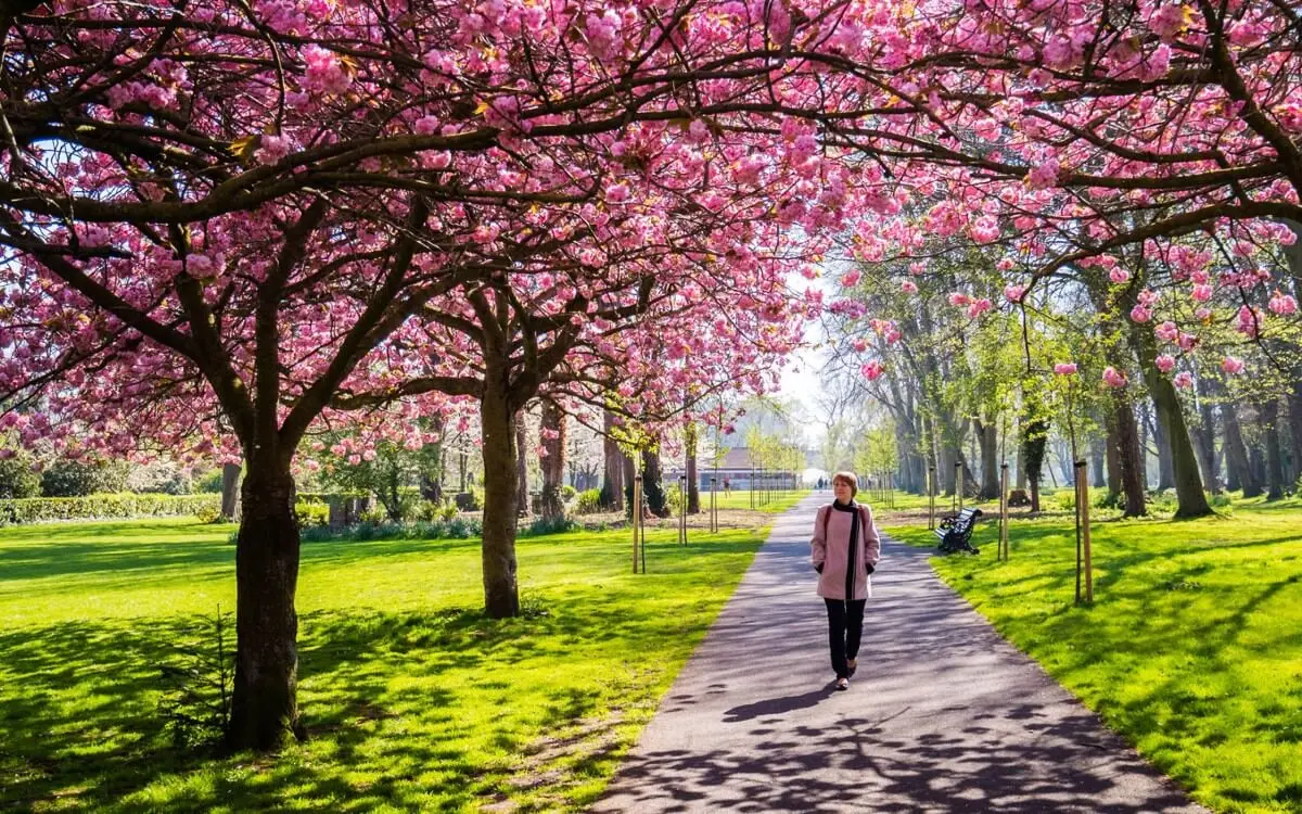 5 Ways to Connect with the Green World - Stream Press